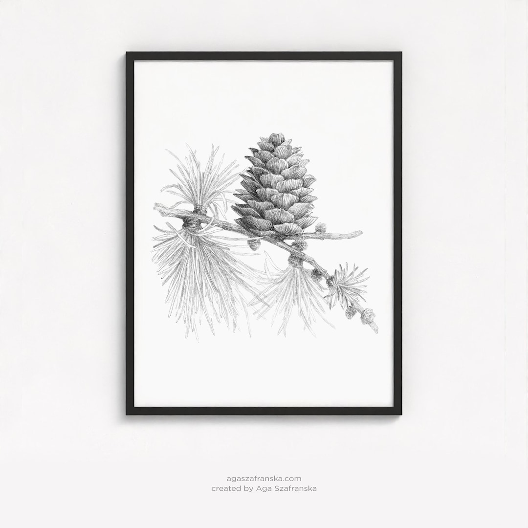 Pinecone Art Print, Graphite Drawing, Aesthetic Pencil Sketch, Black ...