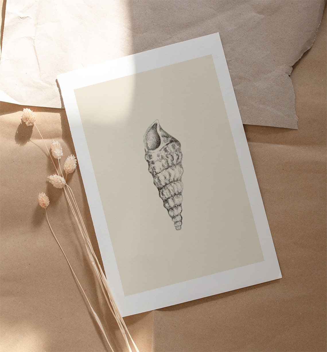 Sketch of Seashell Art Print Minimalist Drawing Seashell - Etsy