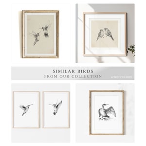 Birds Drawing, Graphite Pencil Sketch, Pair of Robins, Horizontal Print ...