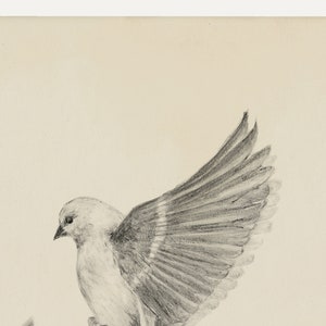 Birds Art, Graphite Sketch, Pencil Drawing, American GOLDFINCH, Pair of ...