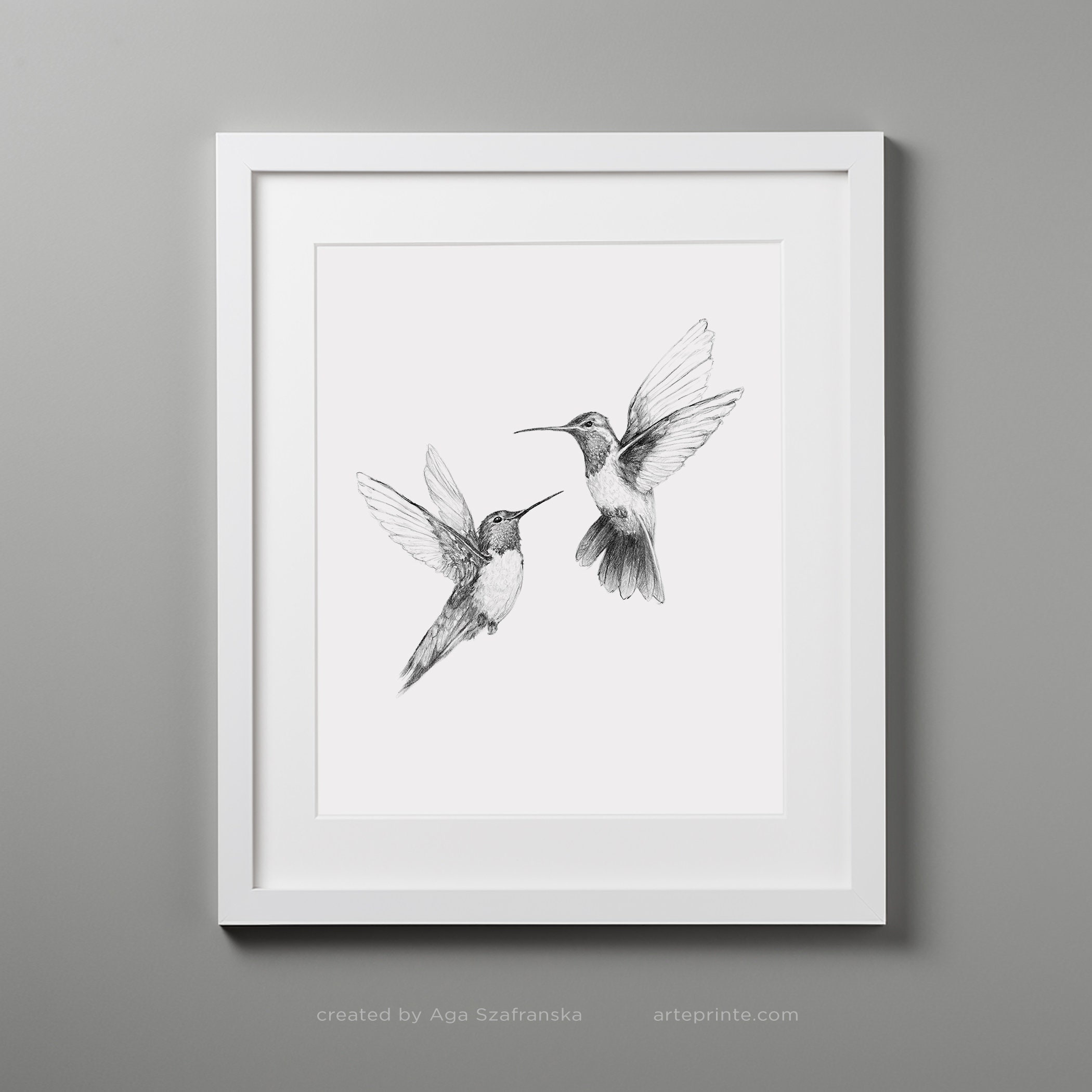 Drawing Images Of Hummingbirds