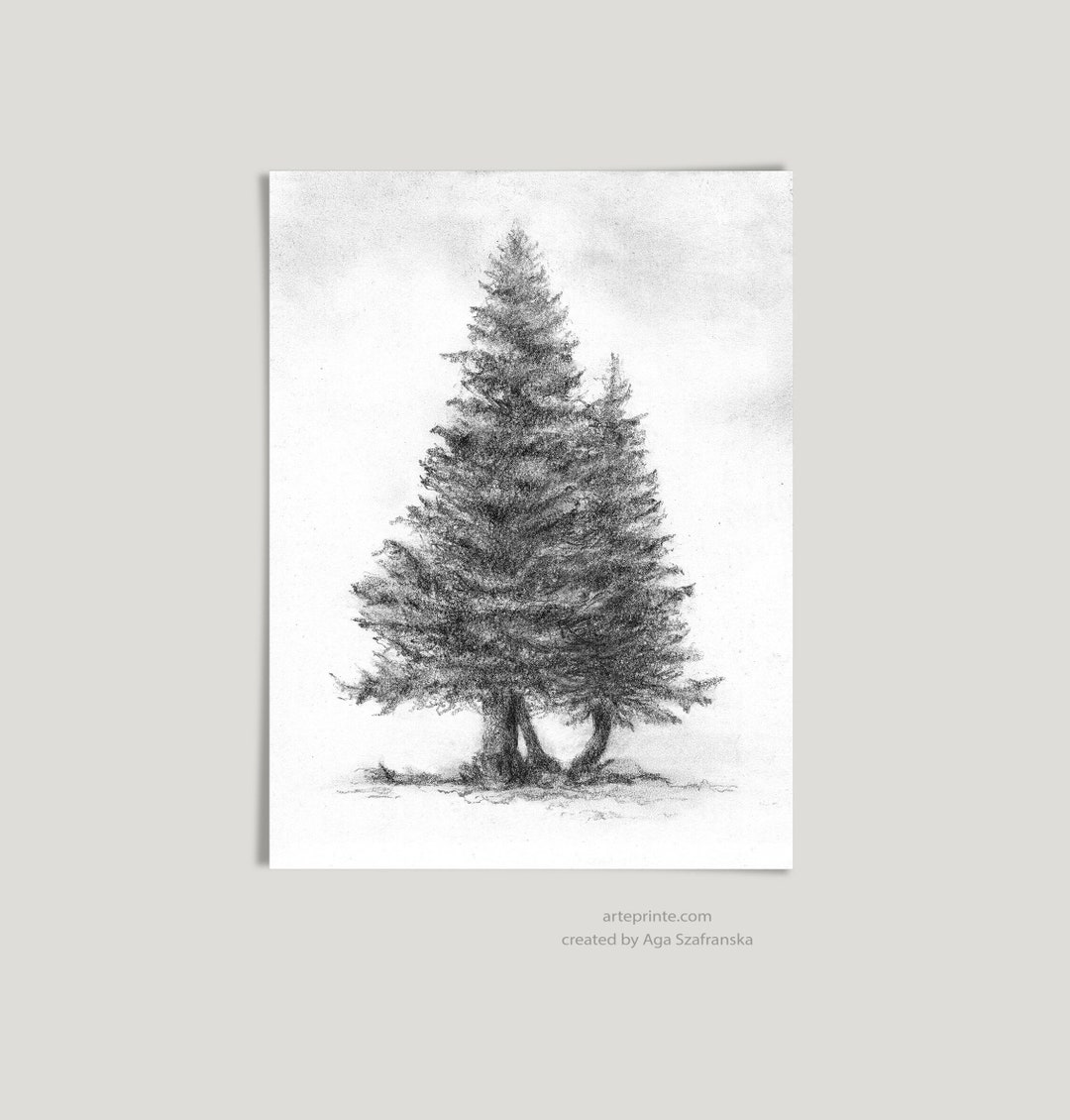 Tree Wall Art, Pine Trees Sketch Pencil Drawing - Vintage Style ...