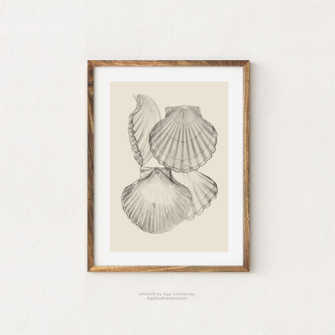 Seashells Drawing, Vintage Style Print, Pencil Graphite Sketch Scallop ...
