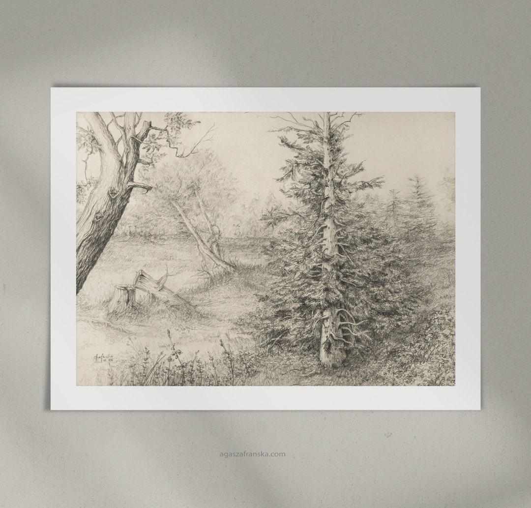 Tree Drawing, Vintage Style Art Print, Graphite Pencil Sketch ...
