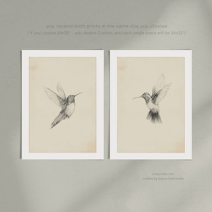 Hummingbirds Pencil Drawing Sketch Prints Set 2 Vintage Style Bird ...