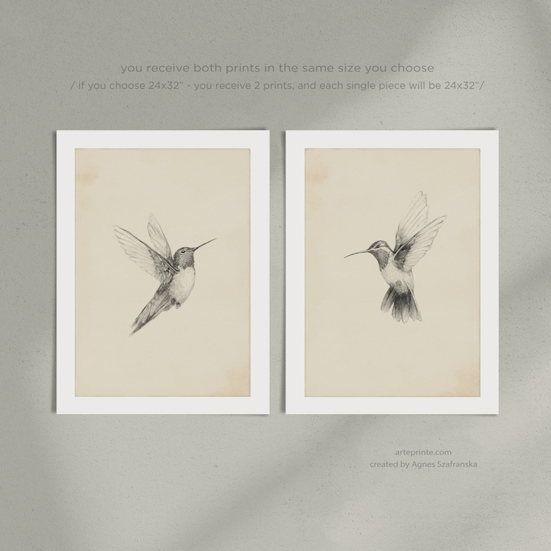 Hummingbirds Pencil Drawing Sketch Prints Set 2 Vintage Style Bird ...