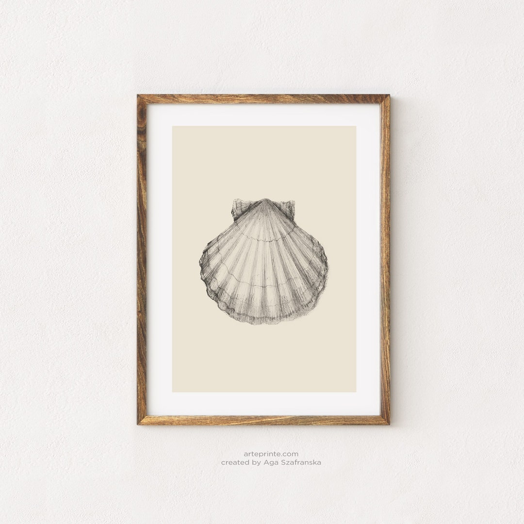 Shell Art Print, Shell Illustration, Scallop Shell Pencil Drawing ...