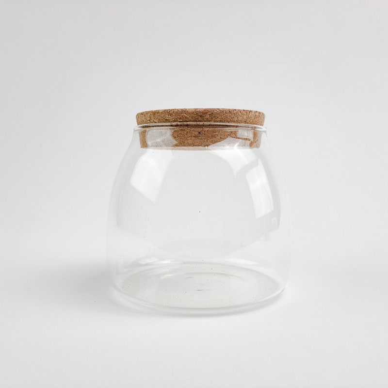 Terrarium Vase, Jar - Etsy