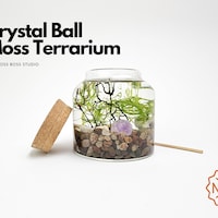 Water Terrarium - Etsy