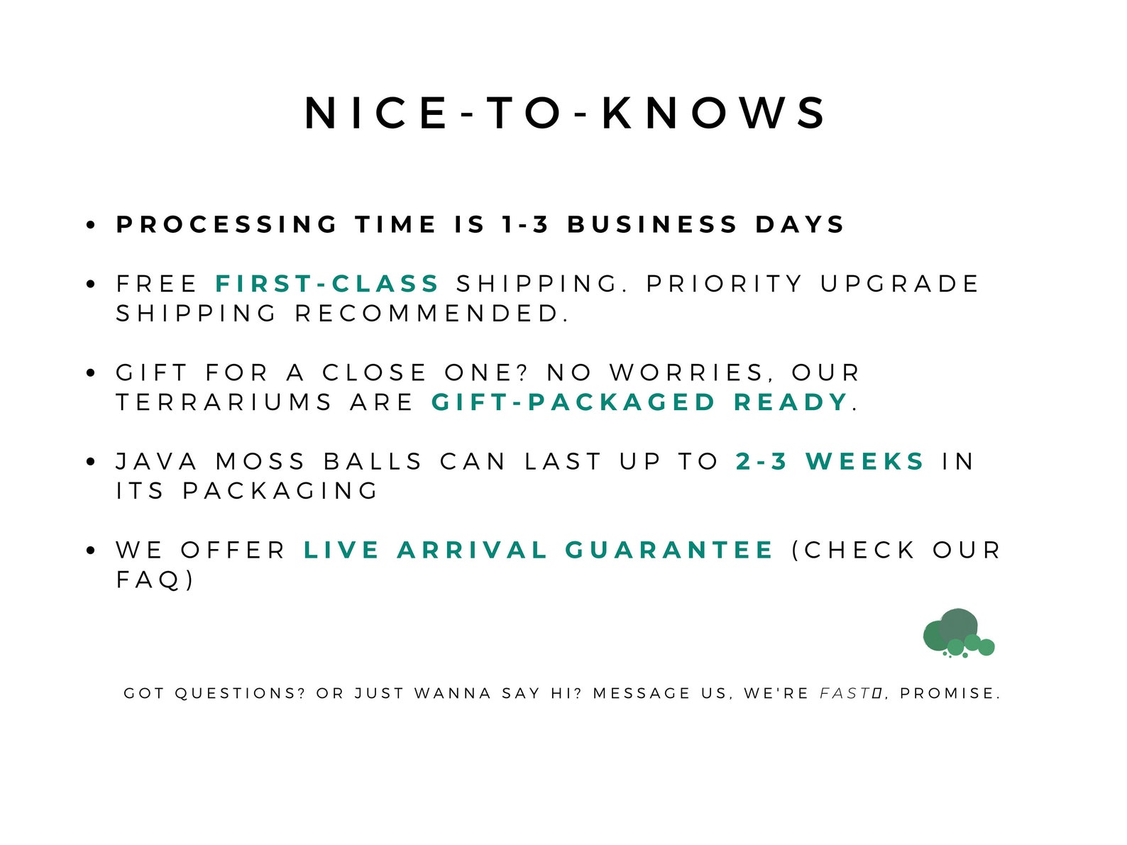 Java Moss Ball Terrarium DIY Craft Kit Aquatic Live Plant - Etsy