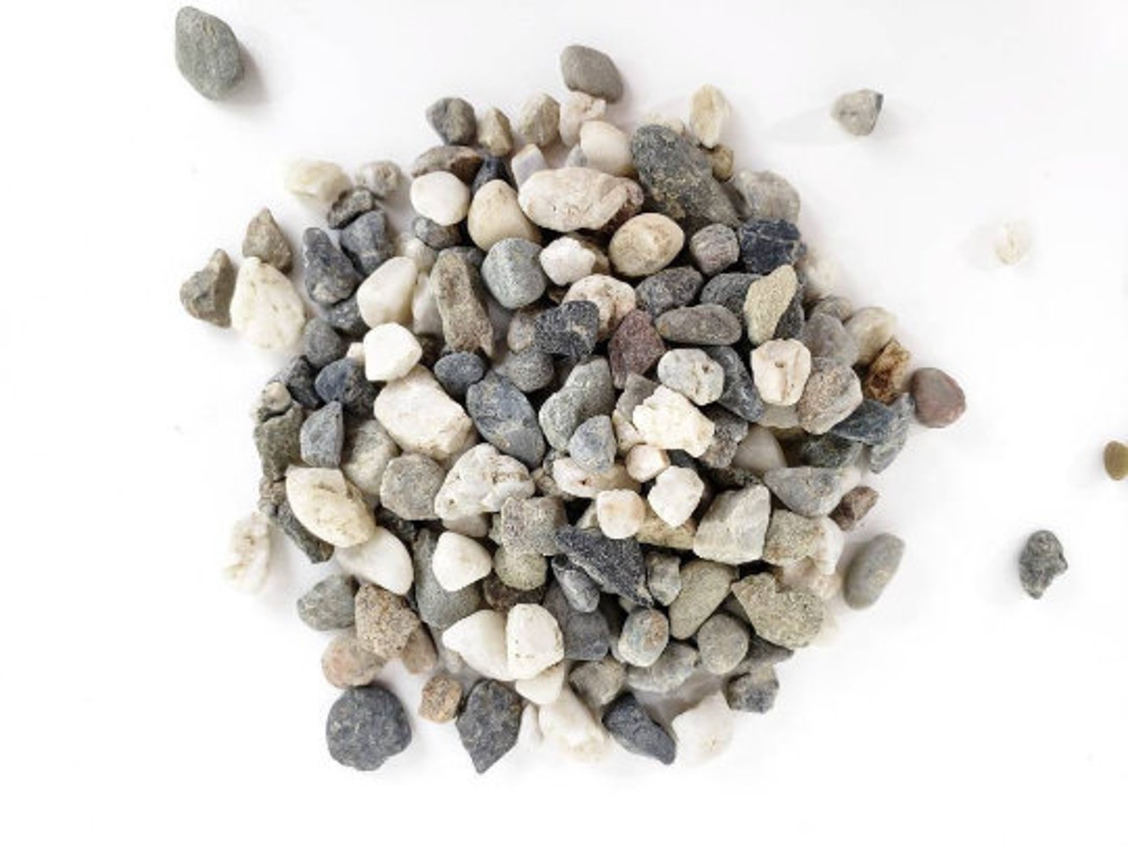 Natural Pebbles Terrarium Supplies for Indoor Plant Succulent - Etsy