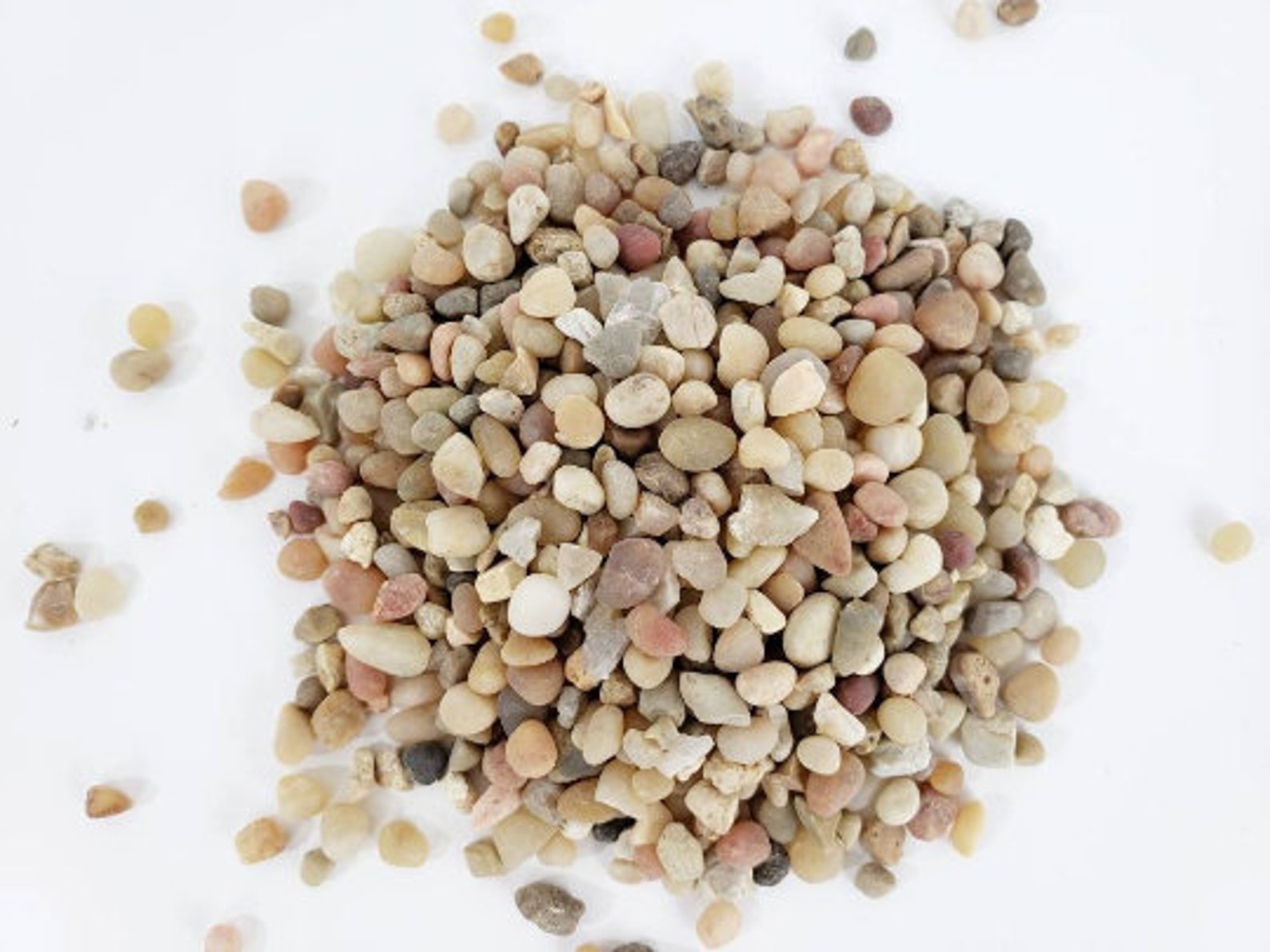 Natural Pebbles Terrarium Supplies for Indoor Plant Succulent - Etsy