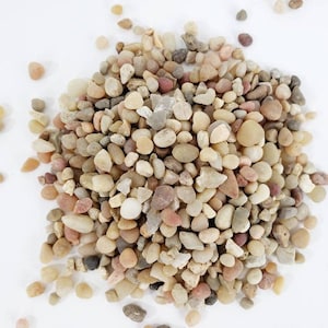 Natural Pebbles Terrarium Supplies for Indoor Plant Succulent Plant Air ...