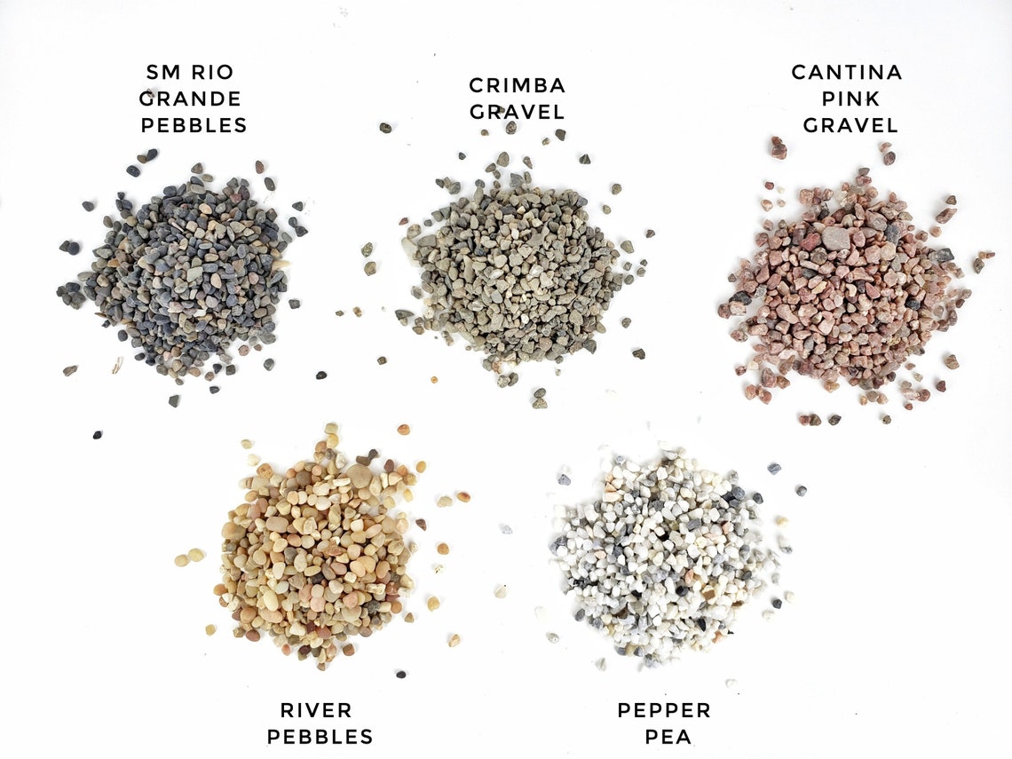 Small Zen Nano Java Moss Ball Terrarium Kit for Office Desk - Etsy