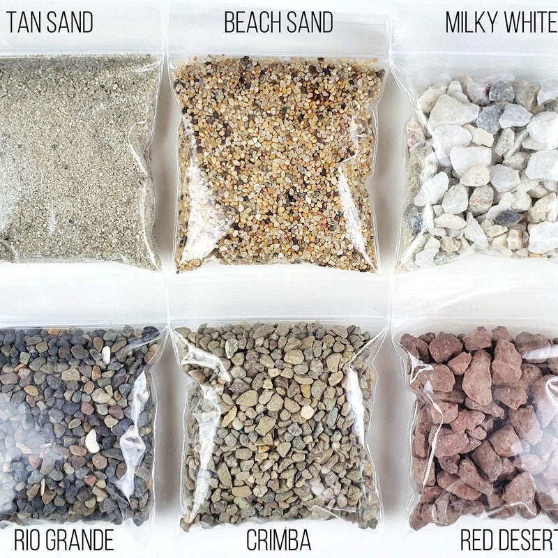 Terrarium Plant Samplers - Etsy