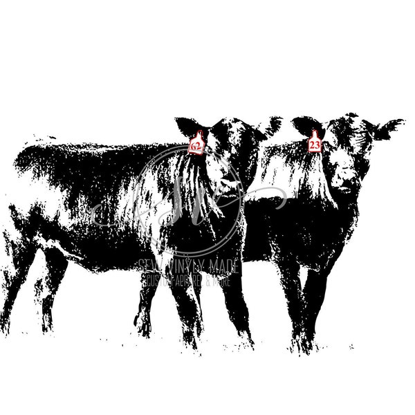 Angus Cattle Svg - Etsy
