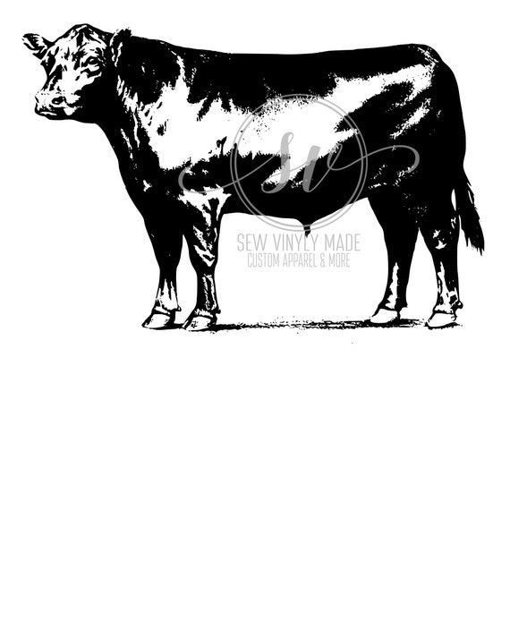 Black Angus Bull svg | Etsy