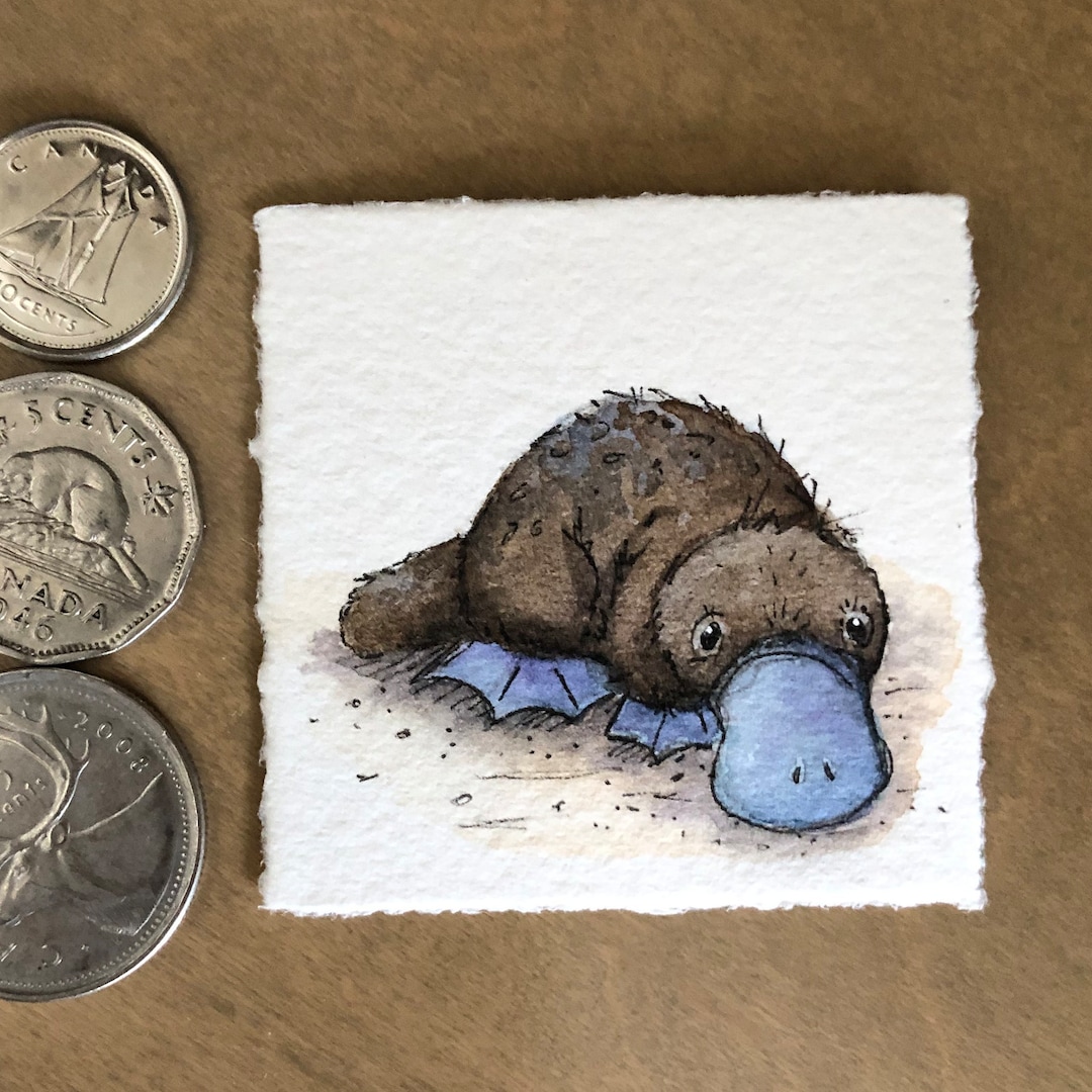 Platypus Mini Watercolor Illustration by Brenda Walker, Unframed , 2”x2 ...