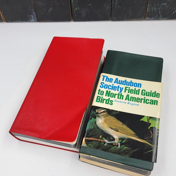 North American Birds - Etsy