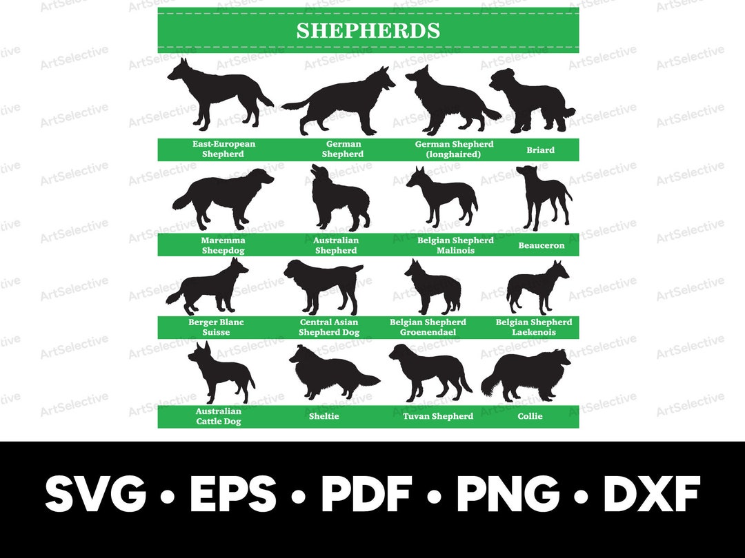Shepherds SVG | 16 Designs | Dogs SVG Bundle, Cricut, Silhouette ...
