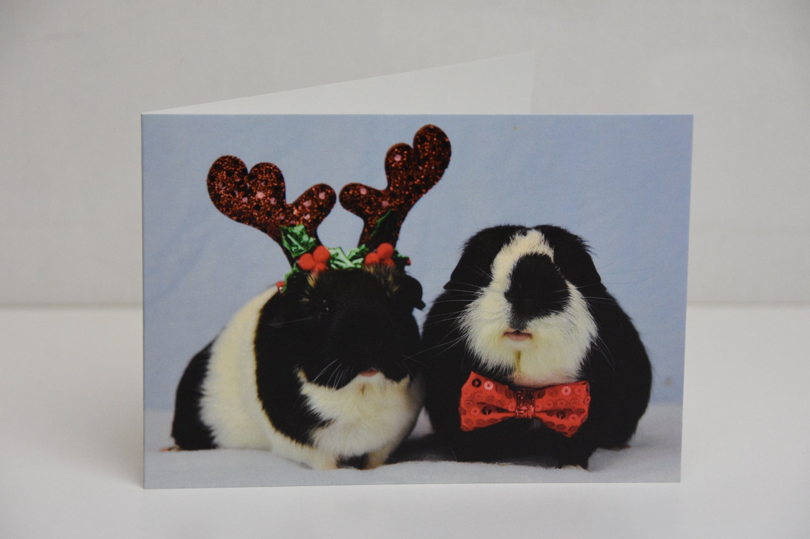 Set of Five Guinea Pig Valentines | Guinea Pig Christmas Cards - Etsy