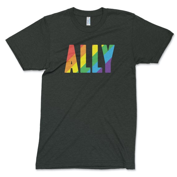 LGBTQ Ally Shirt Unisex LGBT Ally Shirt Straight Ally | Etsy