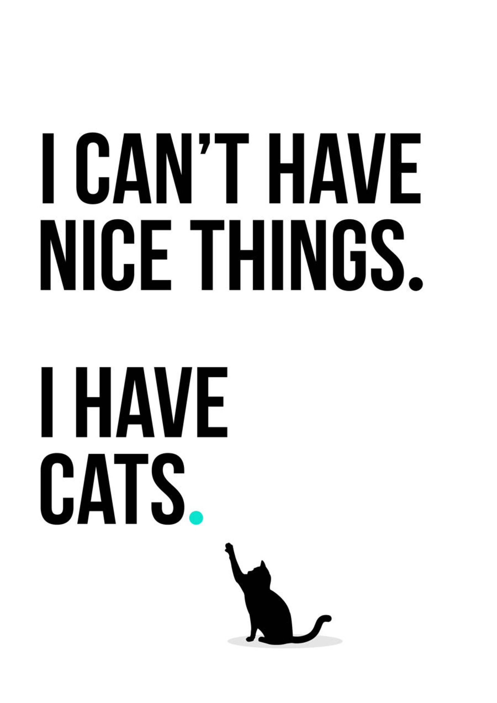 Funny Cat Poster Print A3 A4 Animal Love Funny Gift - Etsy