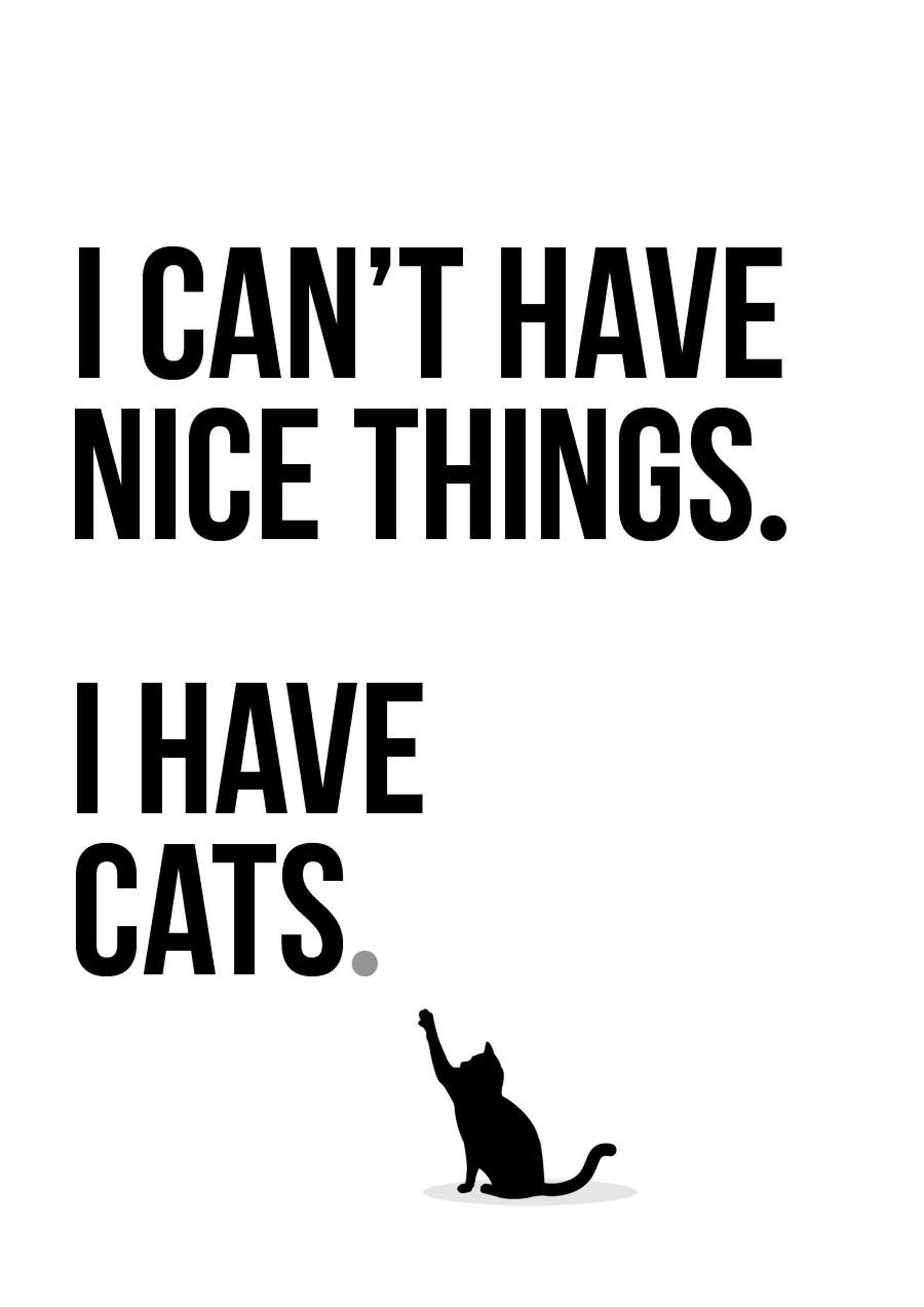 Funny Cat Poster Print A3 A4 Animal Love Funny Gift - Etsy