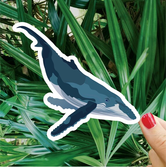 Humpback Whale Sticker | Etsy