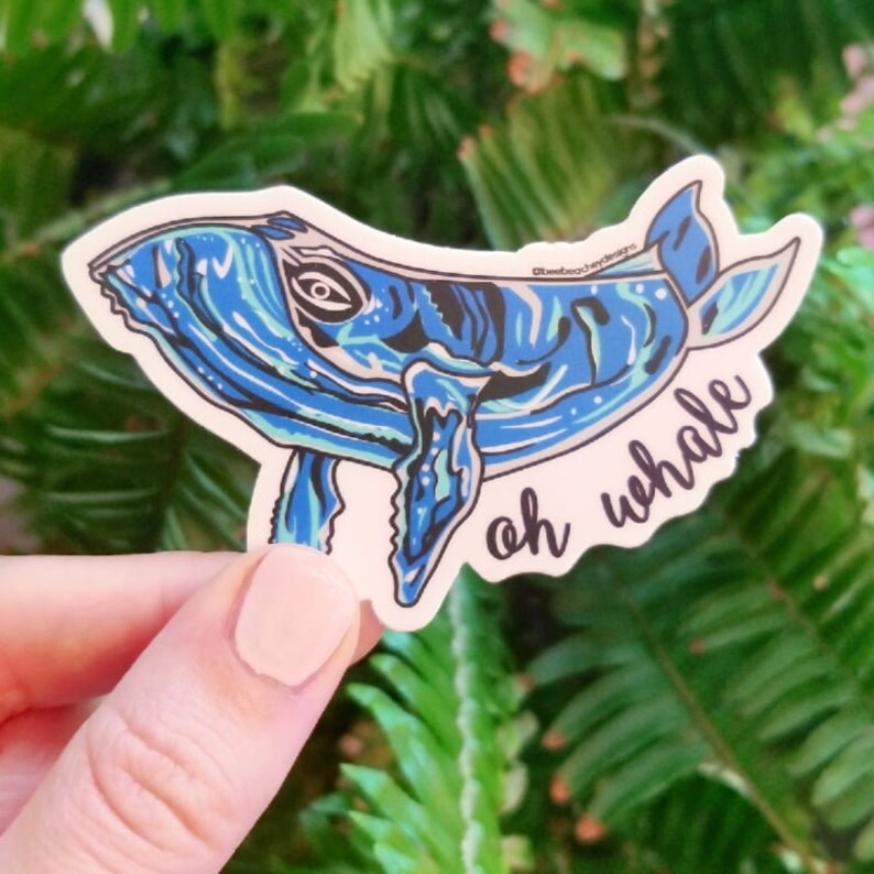Oh Whale Whale Sticker Laptop Sticker Vinyl Sticker Baby | Etsy