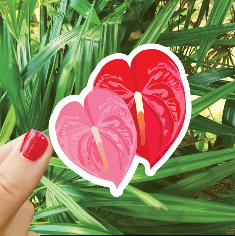 Anthurium Flower Sticker - Etsy