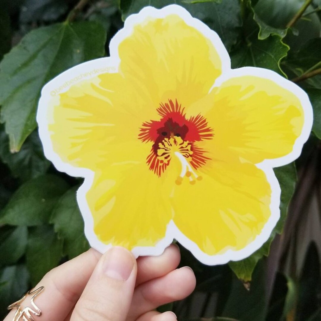 4.5" Yellow Hibiscus Sticker - Etsy