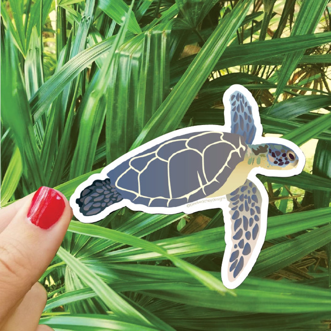 Sea Turtle Sticker - Etsy
