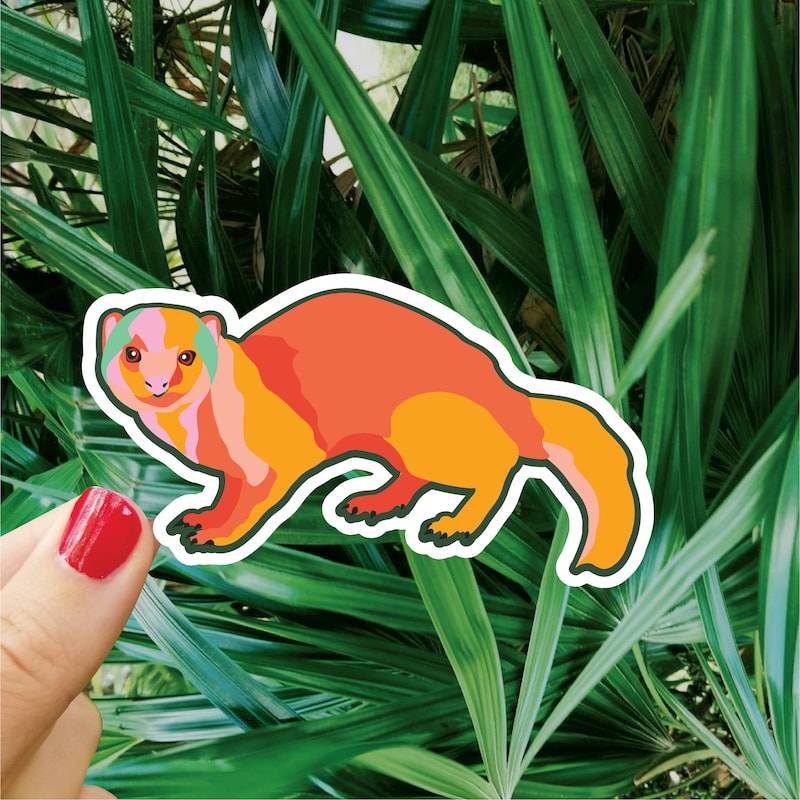 Mongoose Decal - Etsy