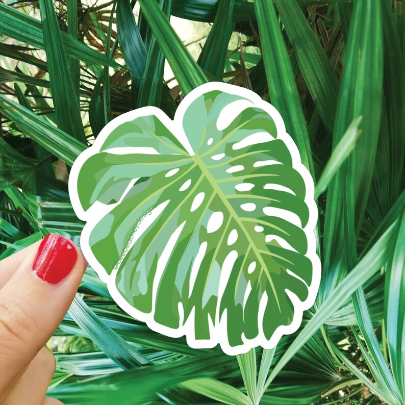Monstera Sticker | Etsy