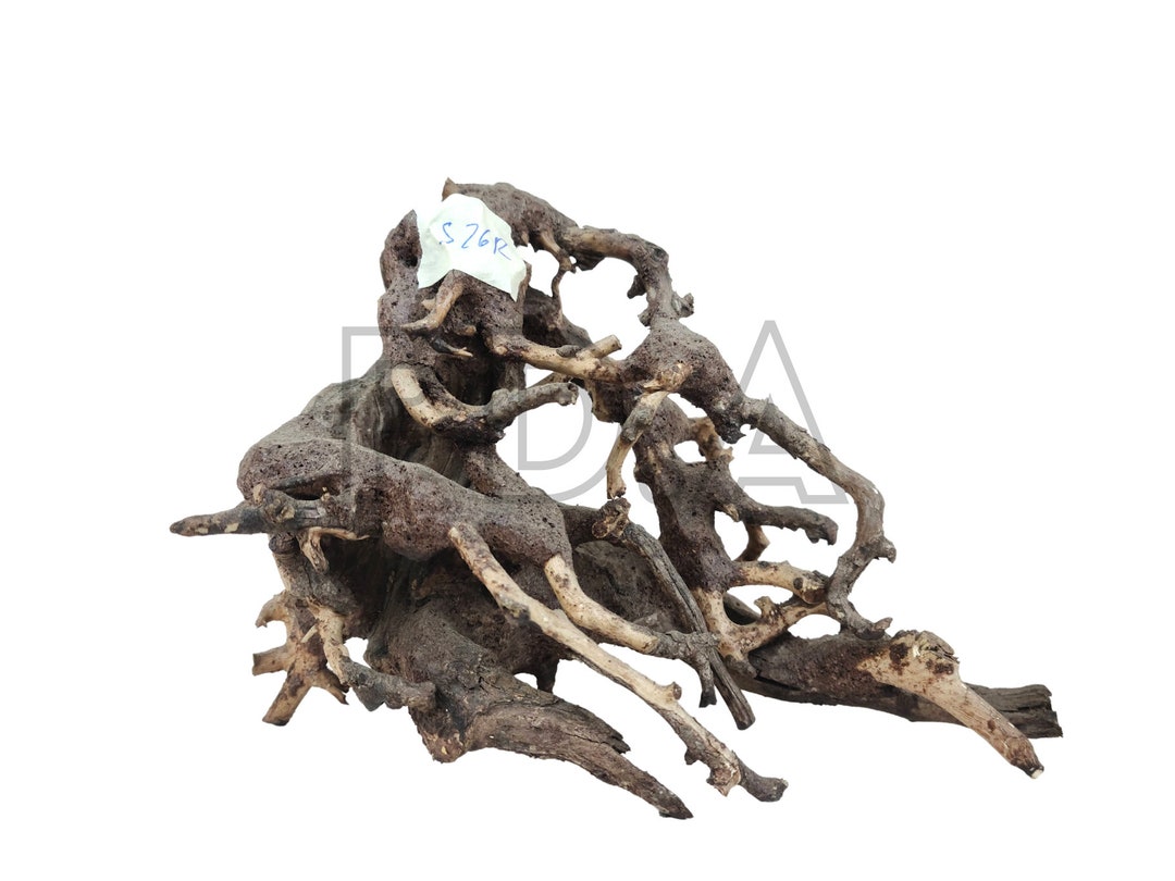 Small Aquarium Bonsai Driftwood Tree: Tropical Fish & Shrimp Habitat - Etsy