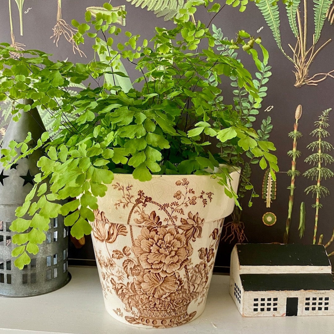 A Rare Crown Devon Transferware Plant Pot or Jardiniere, 1920s ...