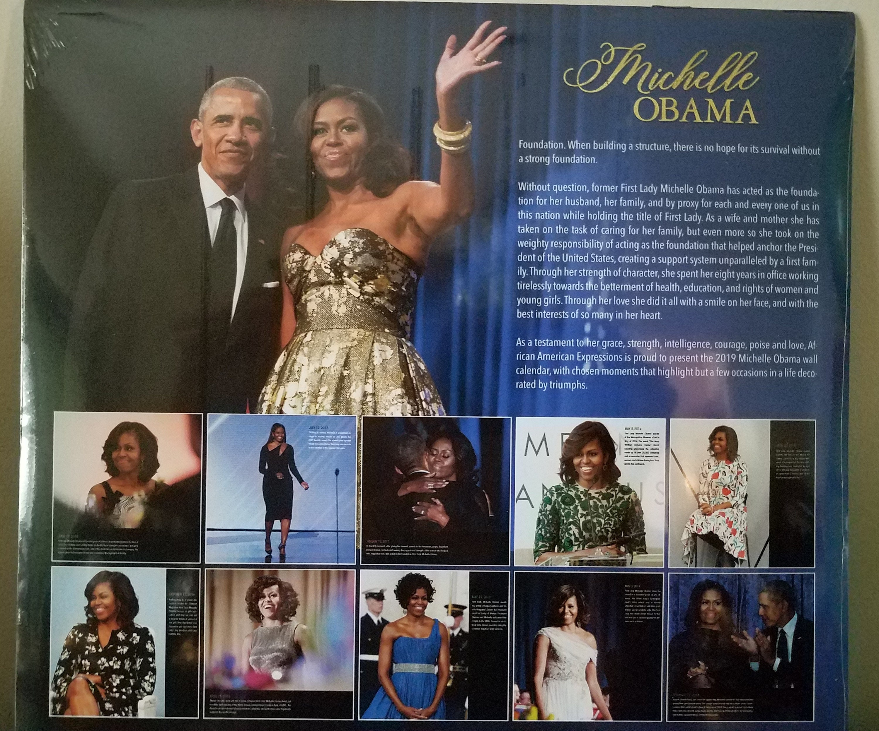2019 16-Month Michelle Obama Wall Calendar
