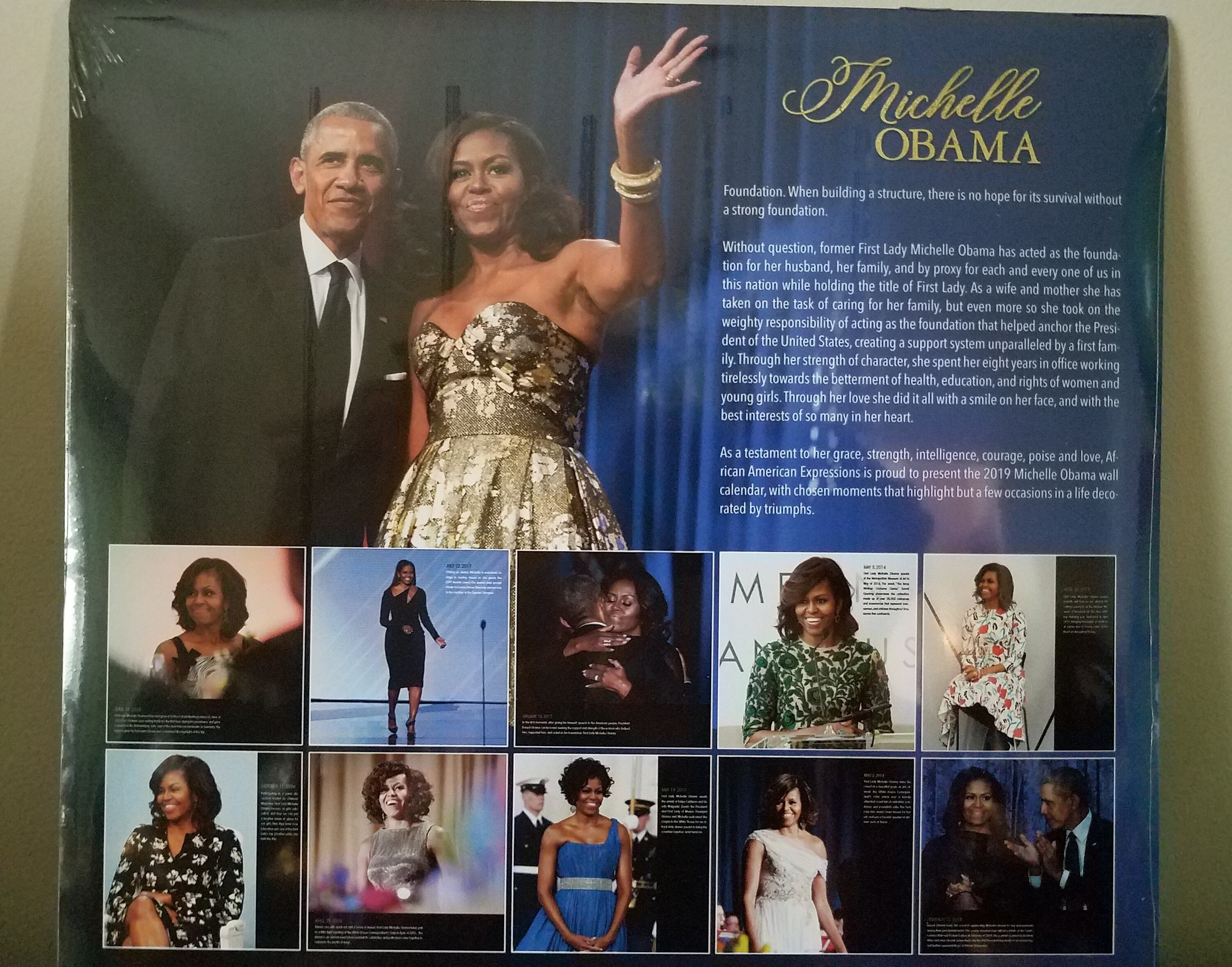2019 16-Month Michelle Obama Wall Calendar