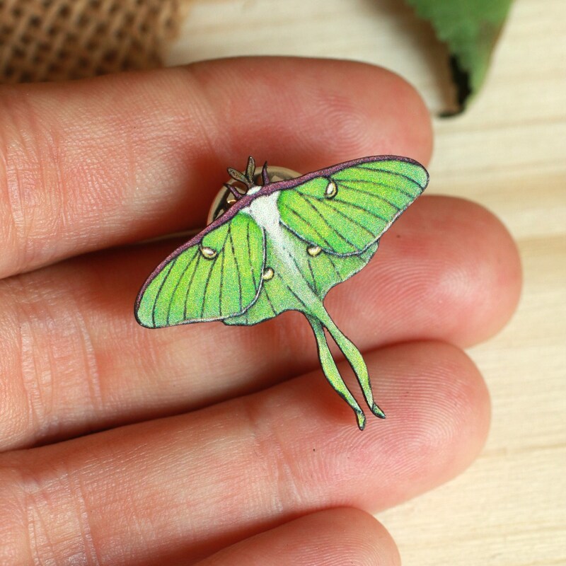 Luna Moth Pin - Etsy