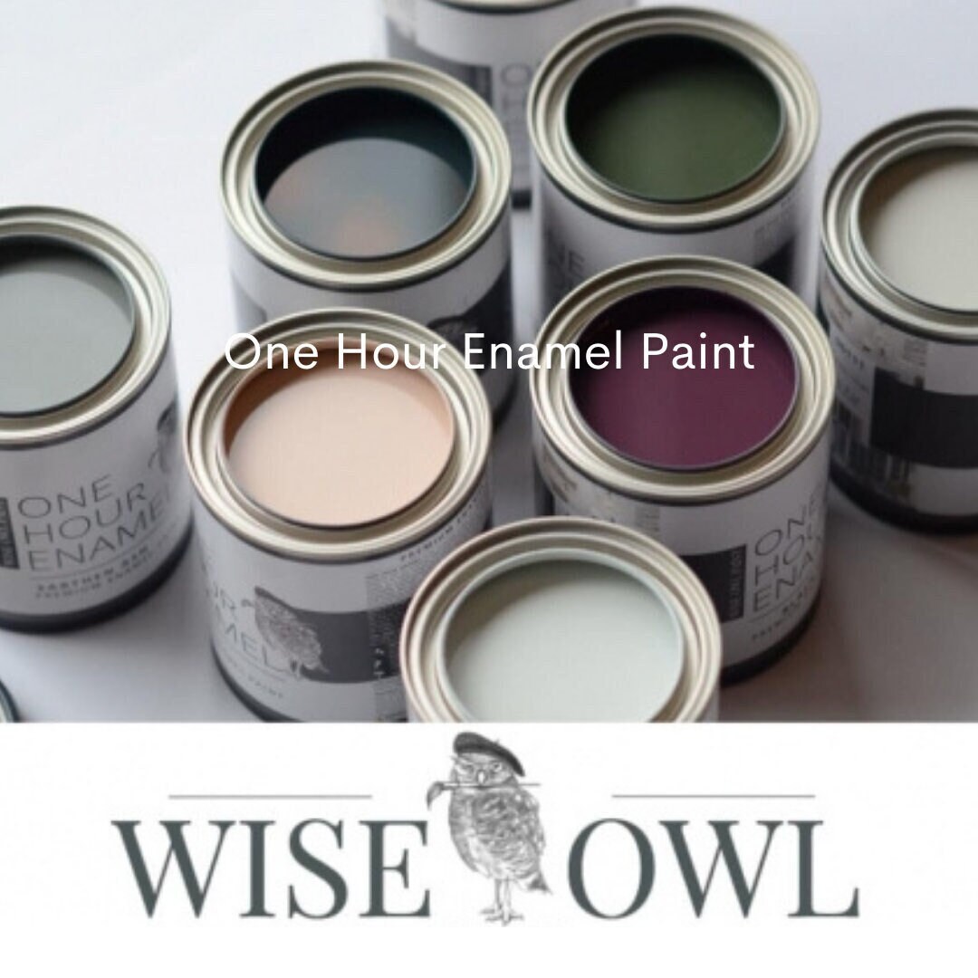 Wise Owl OHE Paint, One Hour Enamel Paint , Wise Owl Paint - Etsy UK