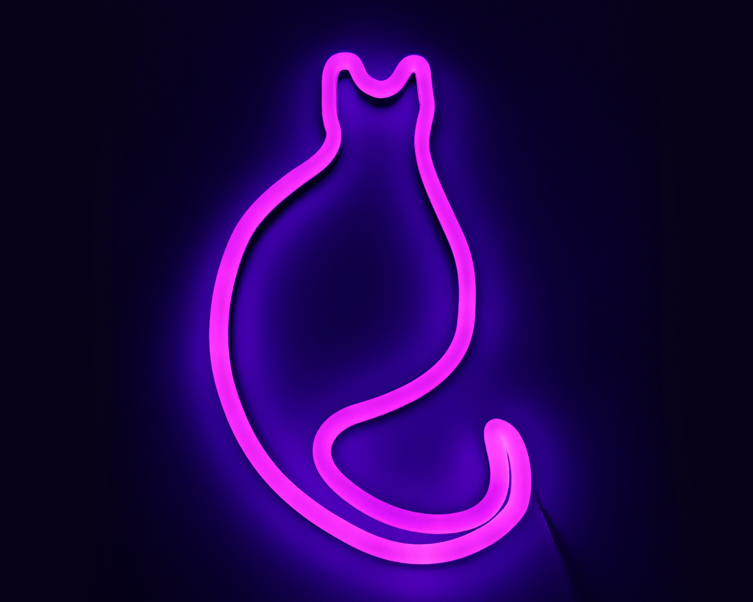 Cat LED Neon Sign Neon Cat Lamp Night Light - Etsy