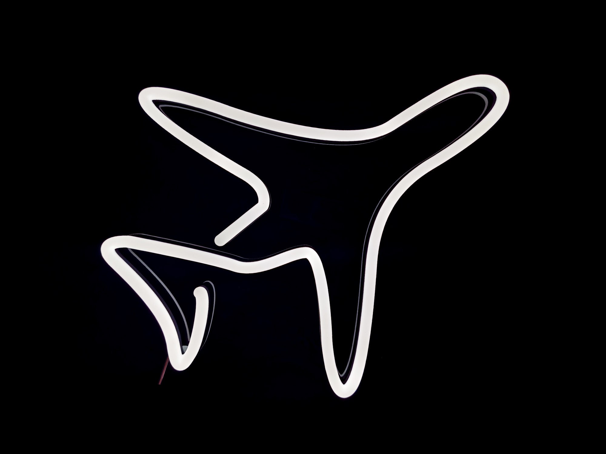 Airplane Neon Sign LED Plane Aircraft Sign - Etsy