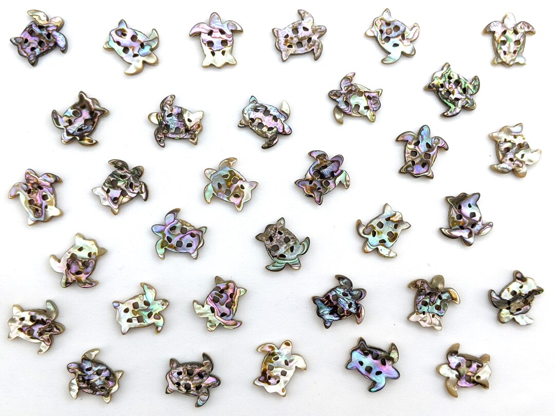 Abalone Open Shaped Sea Turtle Shell Single Bead - 20mm - Itty Bitty ...