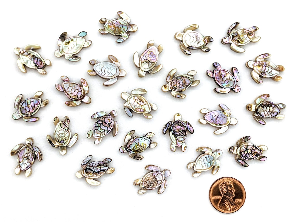 Abalone Carved Sea Turtle Shell Single Bead - 20mm - Itty Bitty Bead ...