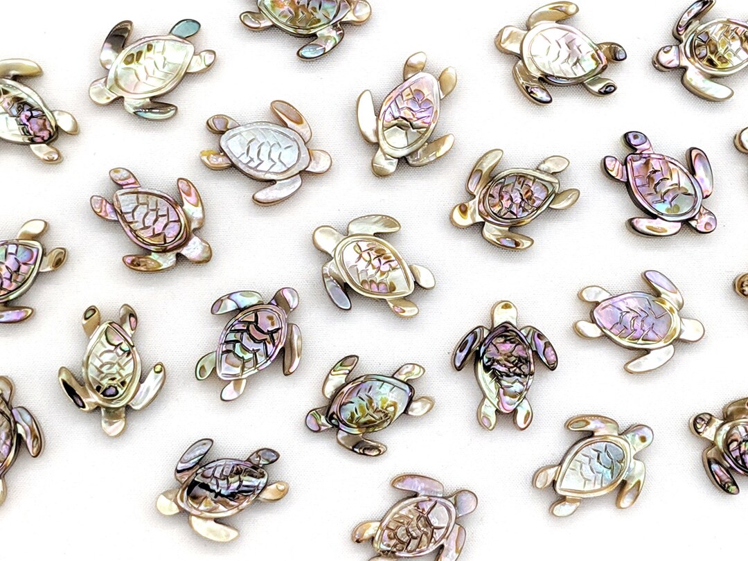 Abalone Carved Sea Turtle Shell Single Bead - 20mm - Itty Bitty Bead ...