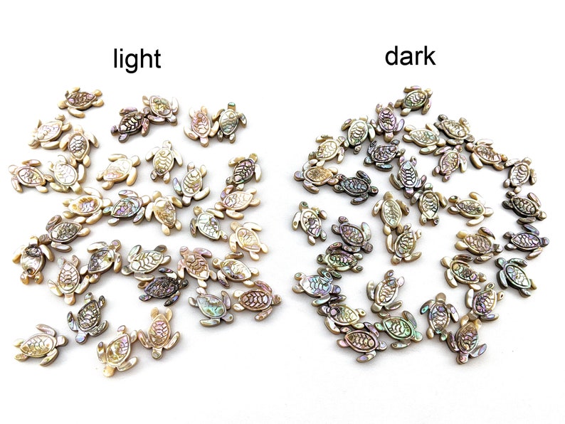 Abalone Carved Sea Turtle Shell Single Bead 20mm Itty - Etsy