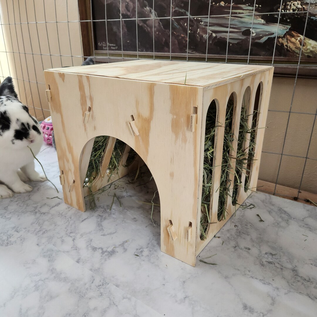 Bunny Guinea Pig Small Animal Rabbit Hay House Feeding Home - Etsy