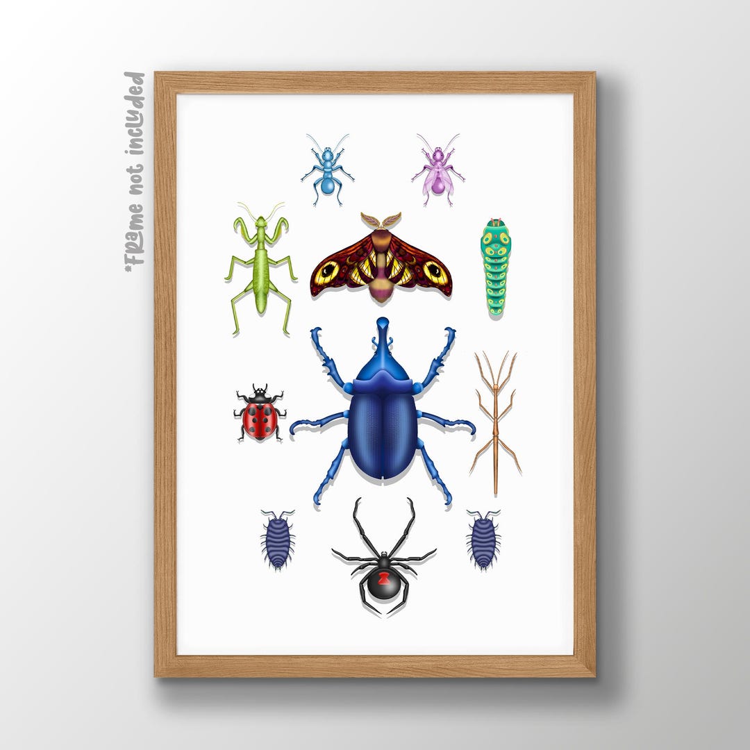 A Bug's Life Inspired Print A4 | Insect Collection | Disney Bug ...