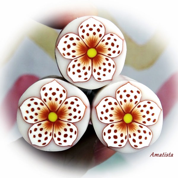 Raw Polymer Canes - Etsy